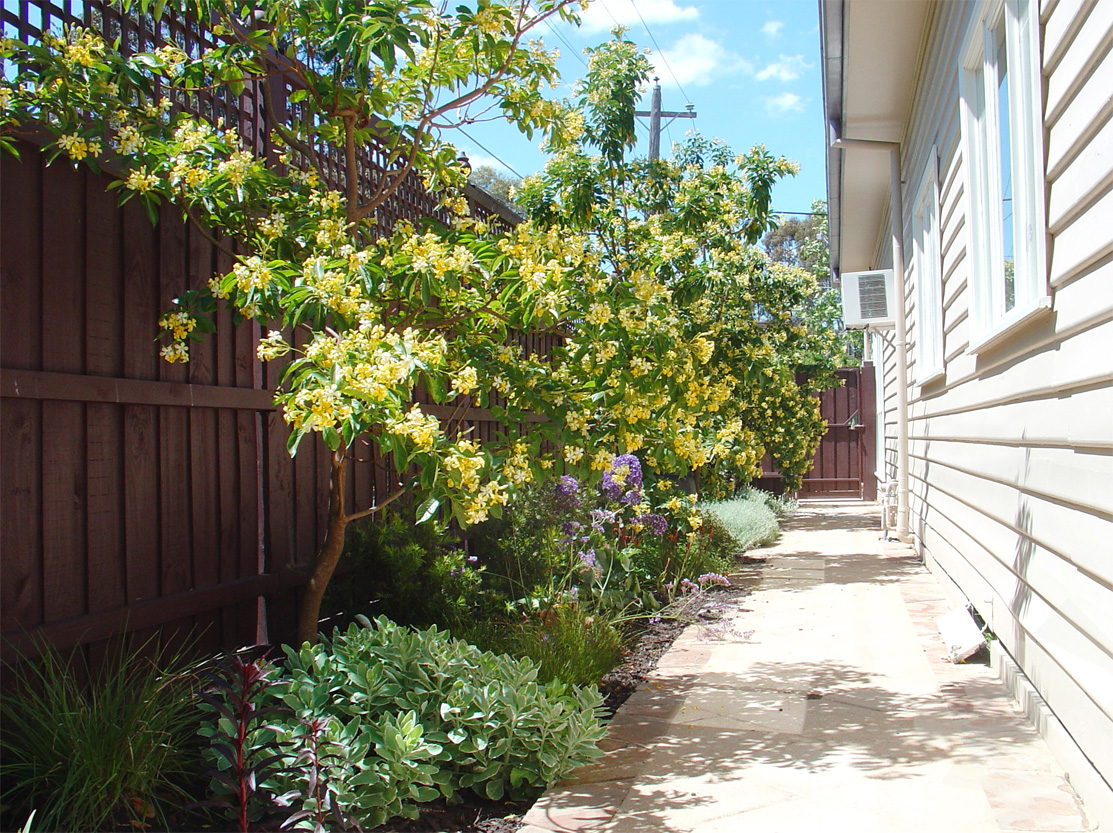 Botanical Traditions : Residential Garden, Northcote