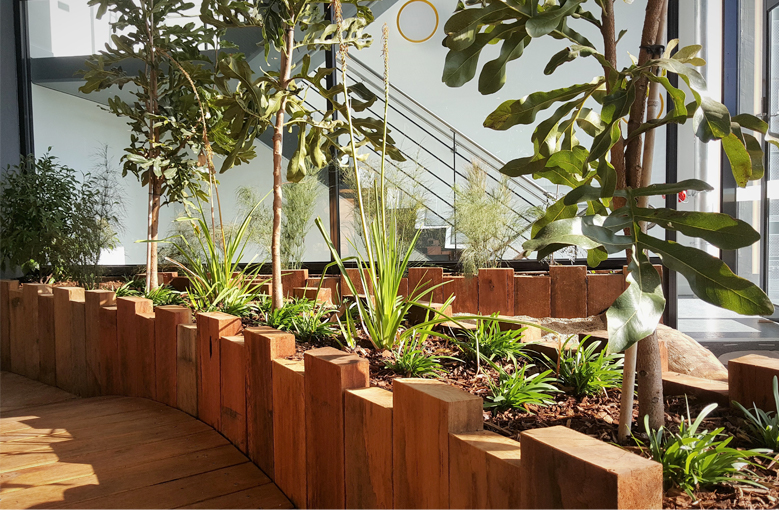 botanical traditions : Professor Lynn Corcoran Early Learning Centre