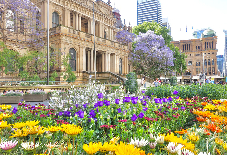 botanical traditions : landscape design, garden design, horticultural ...