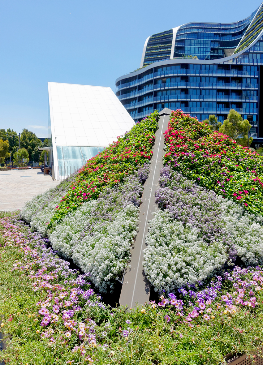 botanical traditions : landscape design, garden design, horticultural ...