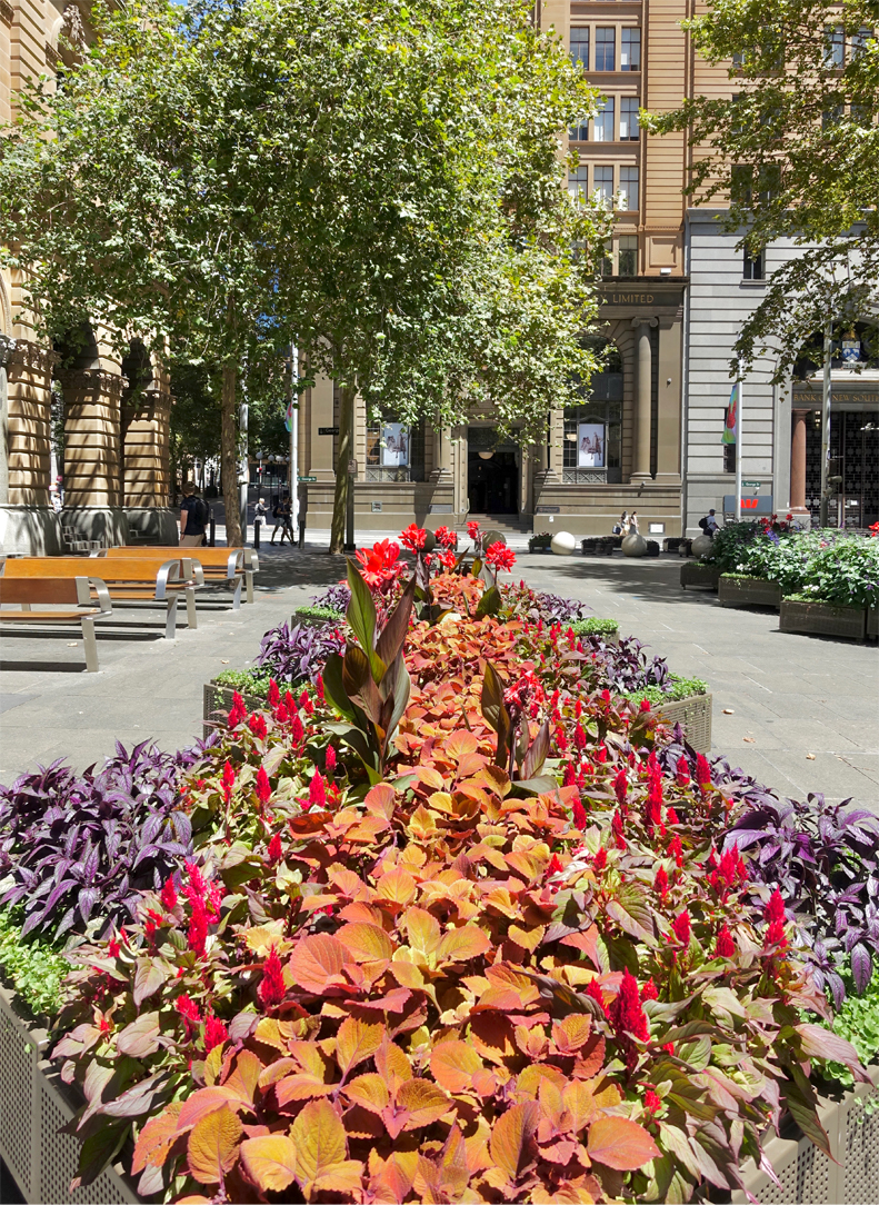 botanical traditions : playspace design, kindergarten, childcare ...