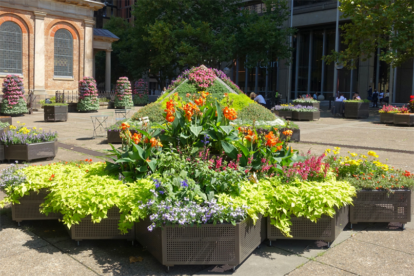 botanical traditions : playspace design, kindergarten, childcare ...