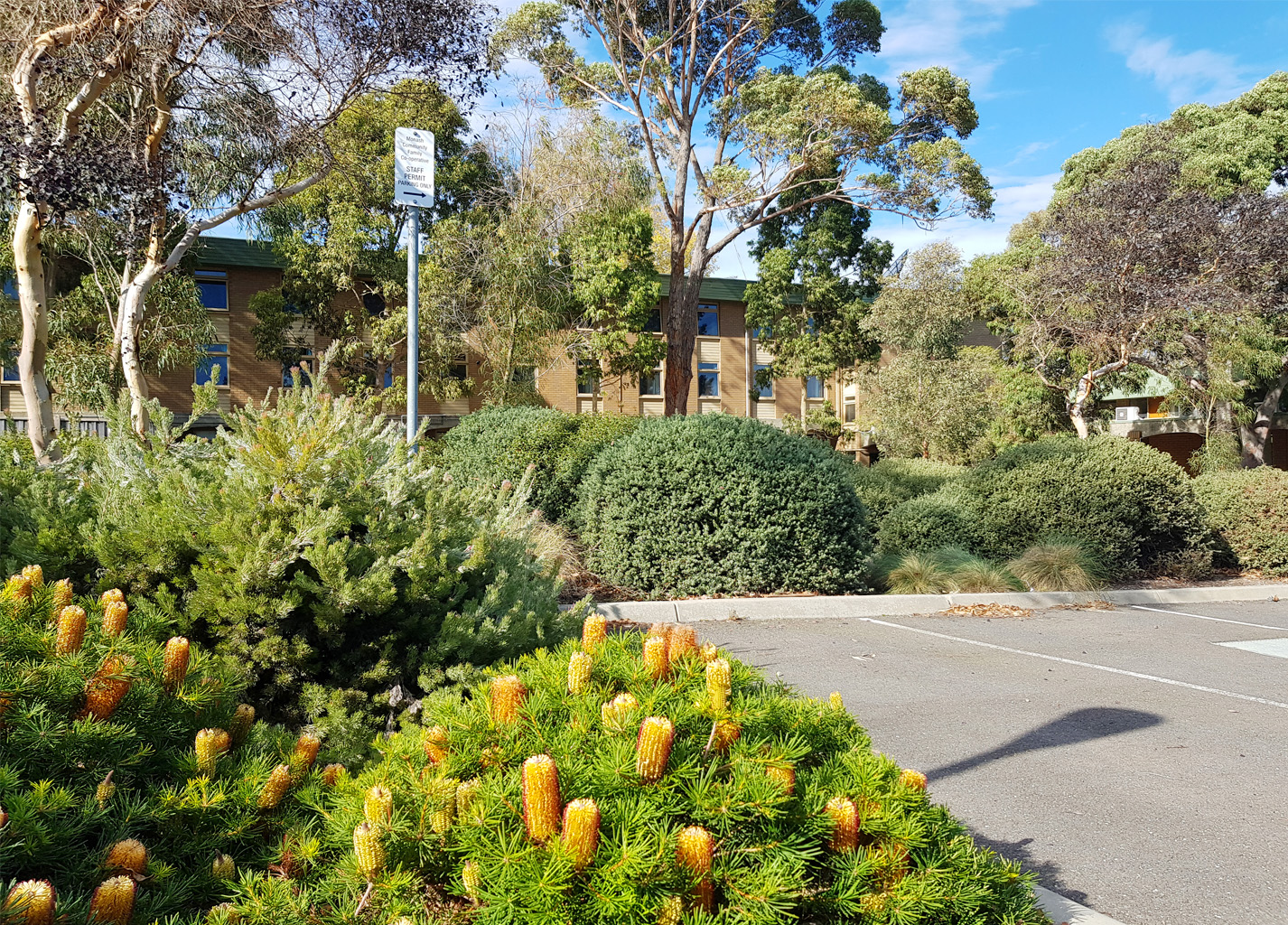 Botanical Traditions : Commercial Design Collection