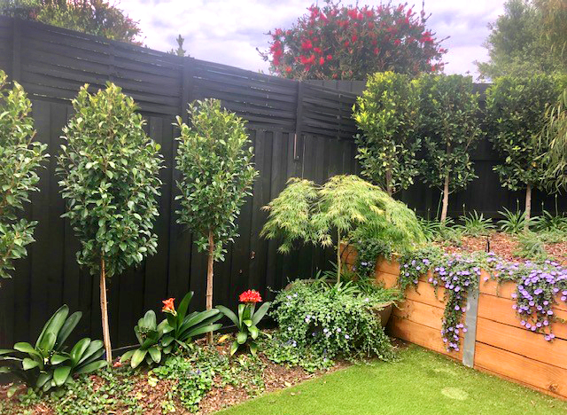 botanical traditions : playspace design, kindergarten, childcare ...