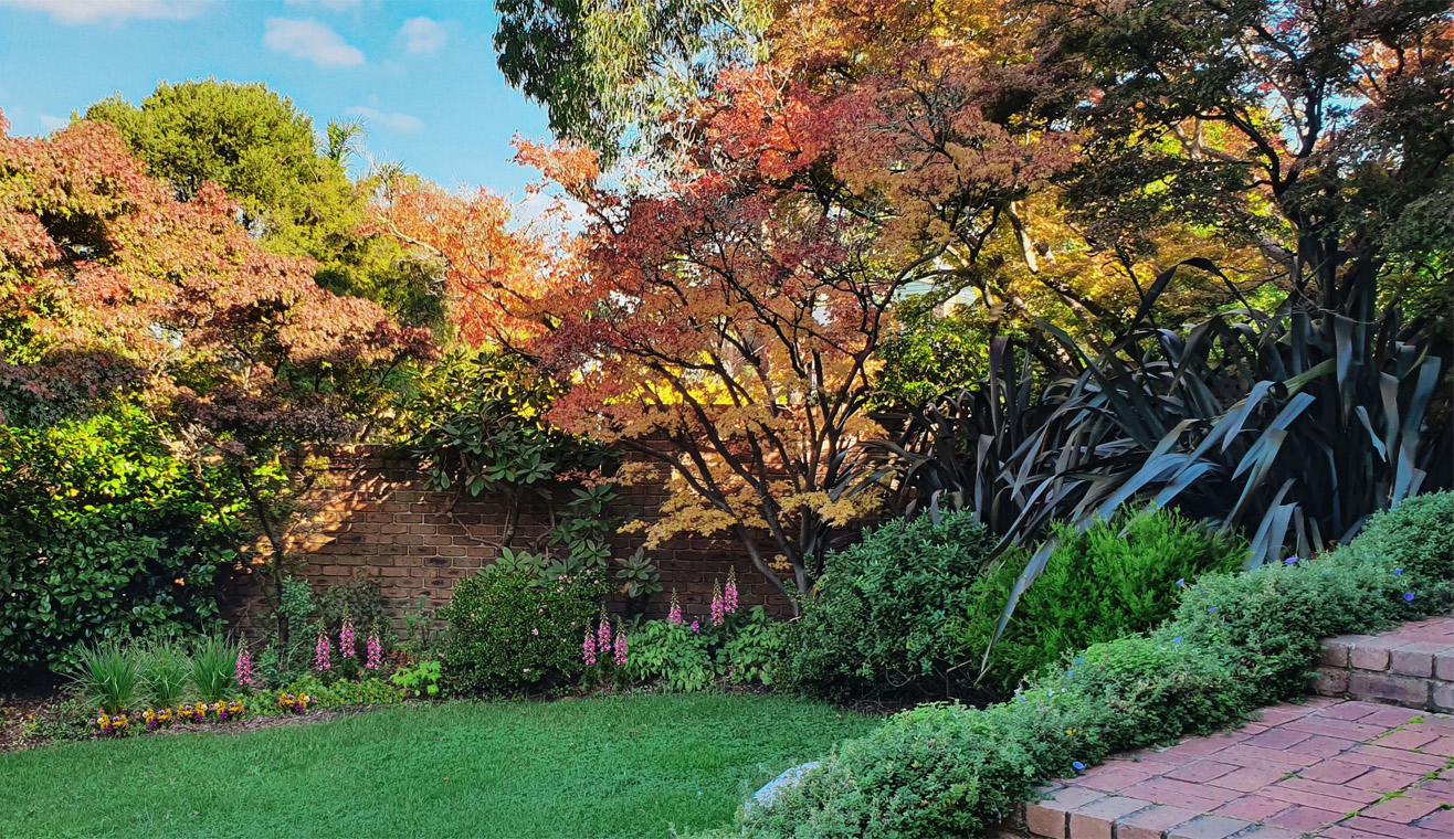 botanical traditions : playspace design, kindergarten, childcare ...